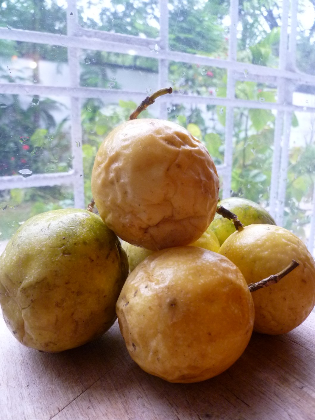 Kiwi and Passion Fruit Verrines | diplomatickitchen